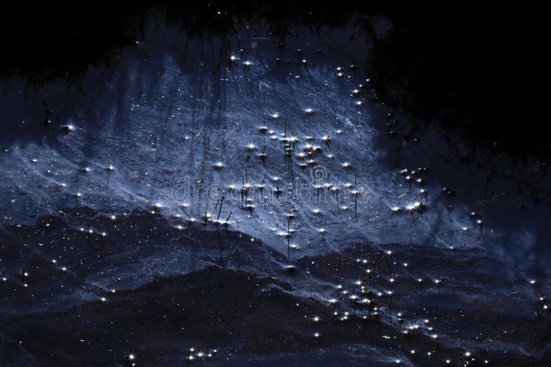 Reflection in the Dark Water Stock Photo - Image of water, surface ...