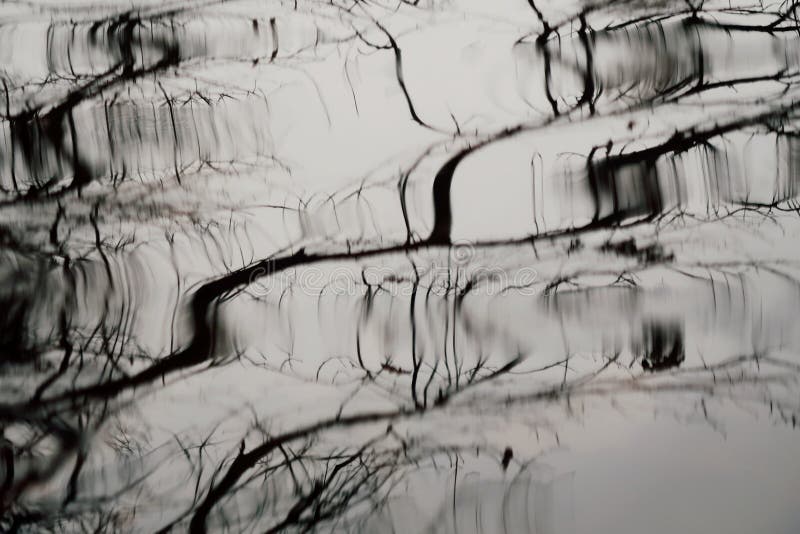 329 White Distorted Line Background Stock Photos - Free & Royalty-Free ...