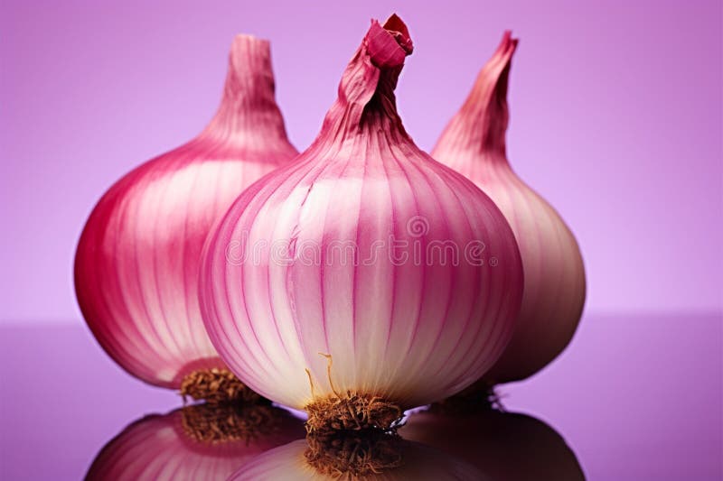 Reflection Enhances the Beauty of Red Onion Layers on Pink Purple Stock ...
