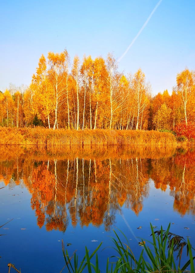 Reflection of fall stock image. Image of reflection - 198602829