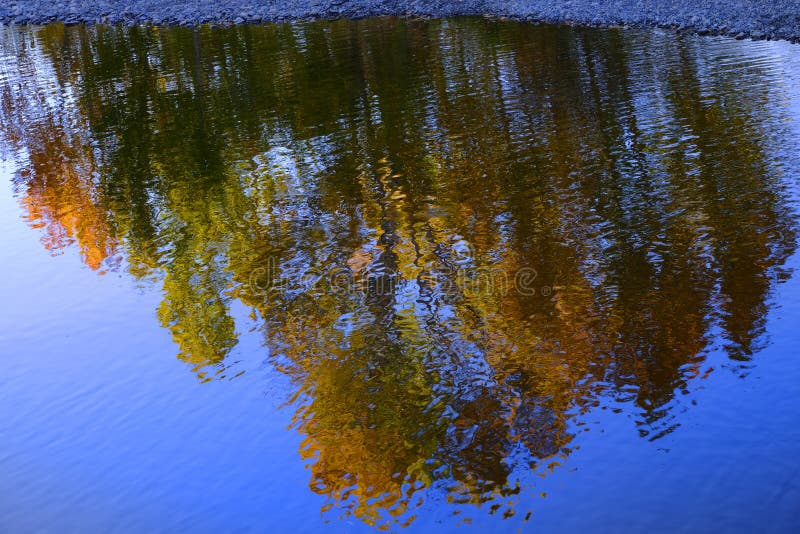 Reflection of Fall Trees in Blue Water Texture Stock Photo - Image of ...