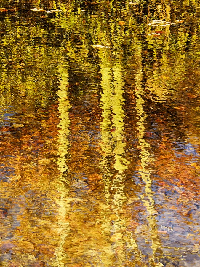 Reflection of fall trees stock image. Image of water - 83675819