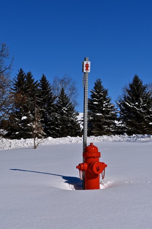Fire Hydrant Tree Casts it`s Shadow in the Snow Stock Photo - Image of ...