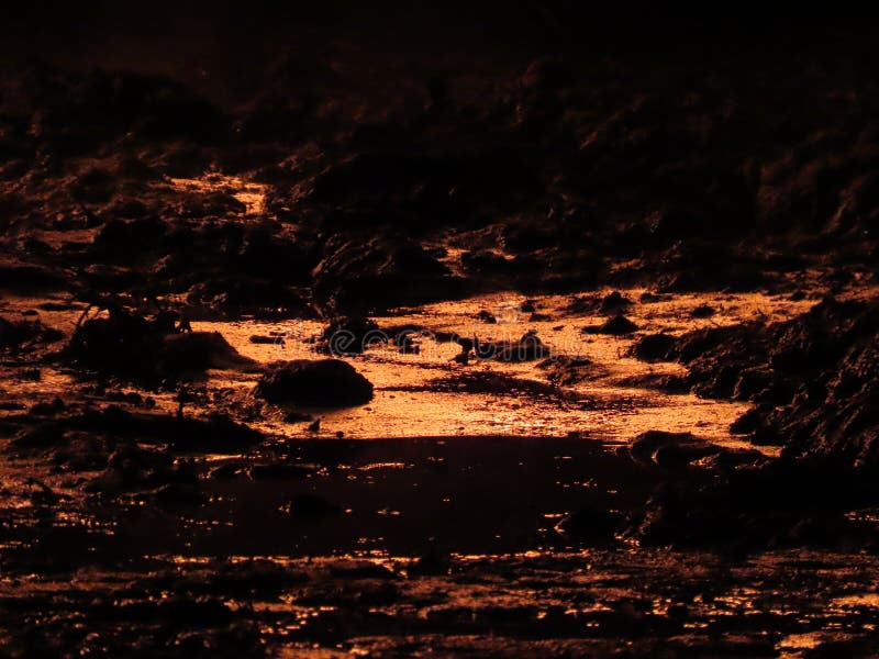 Reflection of Fire in Mud Puddles Stock Image - Image of safe, yellow ...