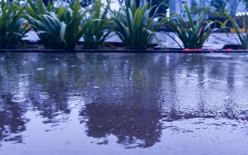 Reflection on Floor during Rainy Day Stock Photo - Image of rainy ...