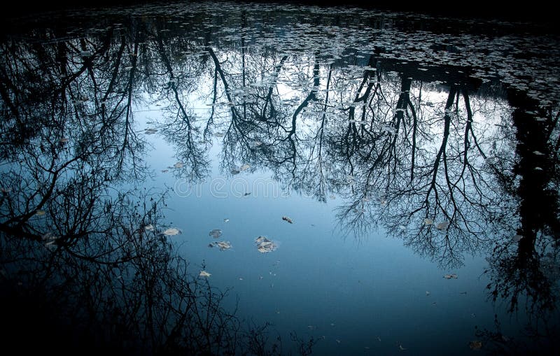 Reflection of the Forest in Cold Blue Lake Stock Photo - Image of ...