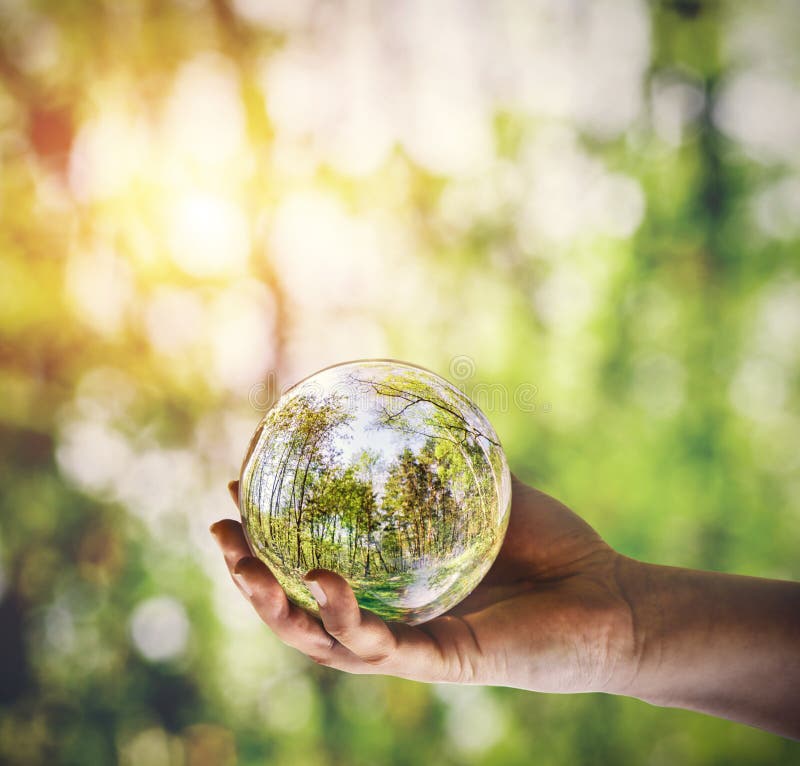 Reflection of a Forest in Glass Ball Held in Hand Stock Image - Image ...
