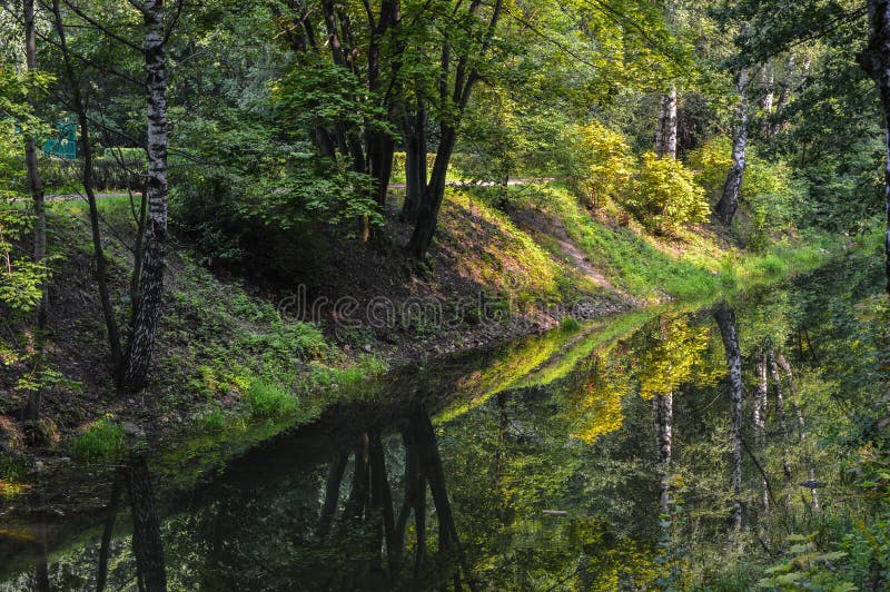 Reflection of Forest Landscape Stock Photo - Image of fresh, scene ...