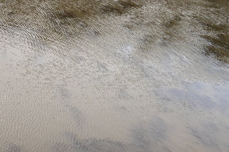 Reflection in the Water of the Trees and the Sky. Stock Photo - Image ...