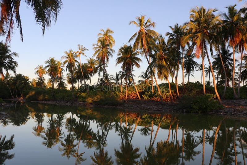 Reflection at the Fresh Water Lake Stock Image - Image of perfect, lake ...