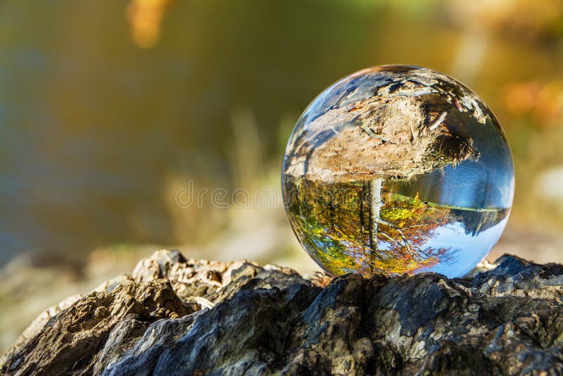 Reflection in the Glass Ball, Forest and Lake Stock Photo - Image of ...