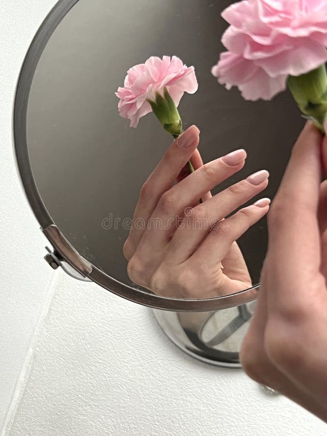 Reflection of a Hand Holding a Pink Flower in a Circular Mirror Stock ...