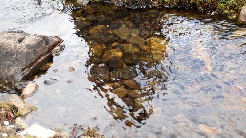Reflection in a stream stock image. Image of reserve - 188810915