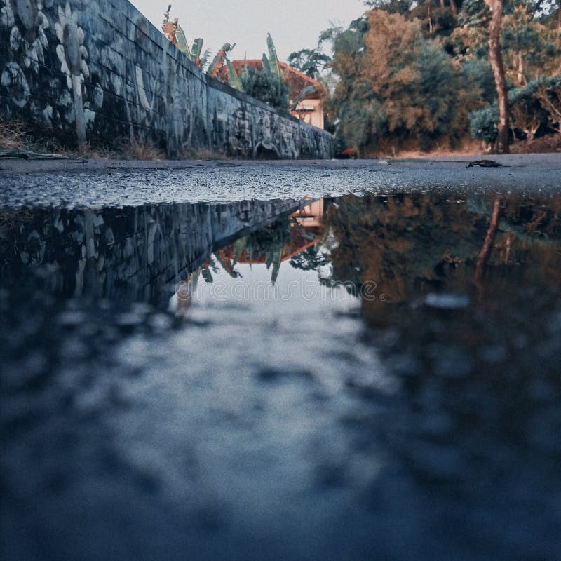 Mirror effect scenery stock photo. Image of bananatree - 246447544