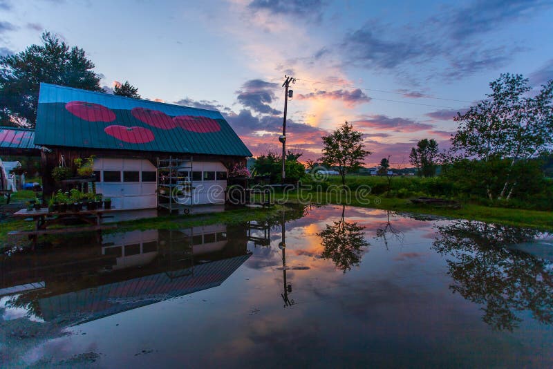 Reflection of a House with a Beautiful Garden in a Water Stock Image ...