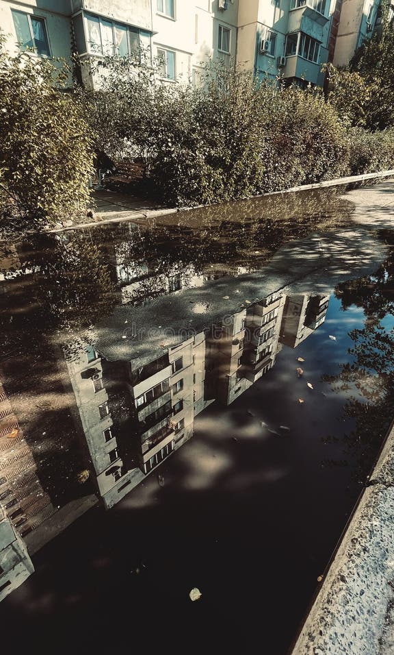Reflection of a House in a Puddle in Summer Stock Photo - Image of roof ...