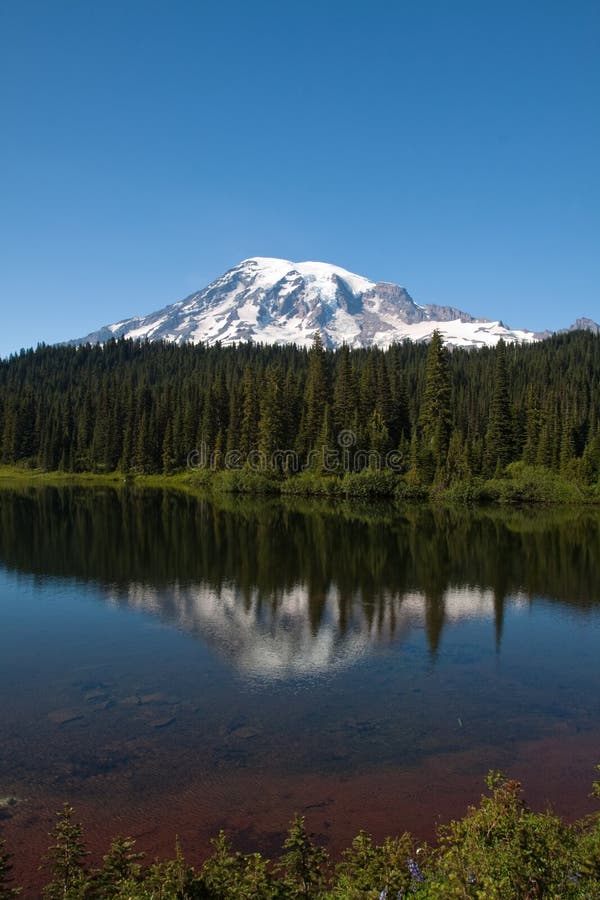Reflection On The Lake Picture. Image: 104963193