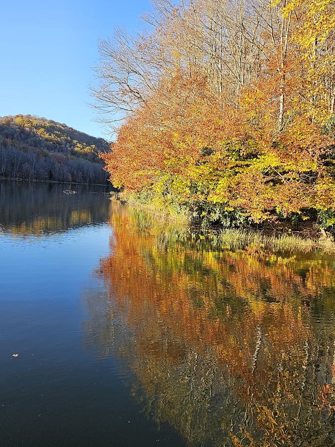 Reflection of lake in fall stock image. Image of trees - 294836681