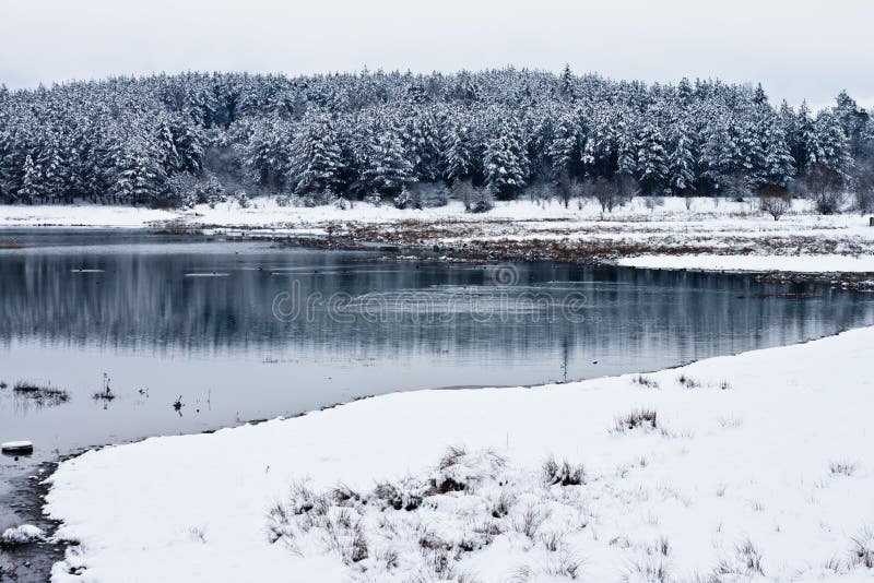 Reflection in a lake stock image. Image of fresh, landscape - 113084027