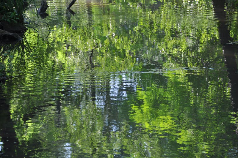 Reflection in lake stock photo. Image of green, water - 95406452