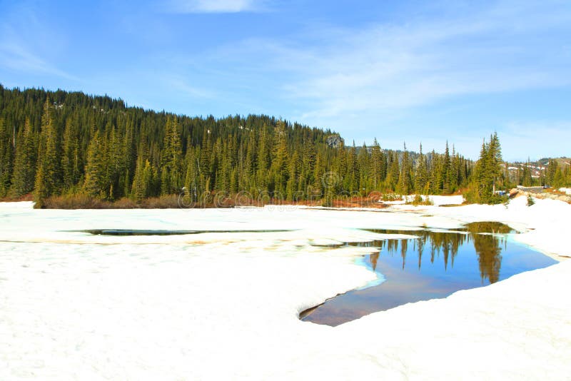 Reflection in the lake stock photo. Image of beauty, season - 83960210