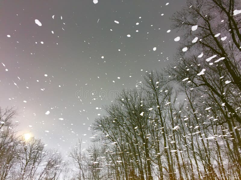 Reflection in Lake with Snow and Trees Stock Image - Image of snow ...
