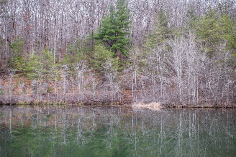 Reflection on the Lake in Wintertime Stock Image - Image of quiet ...