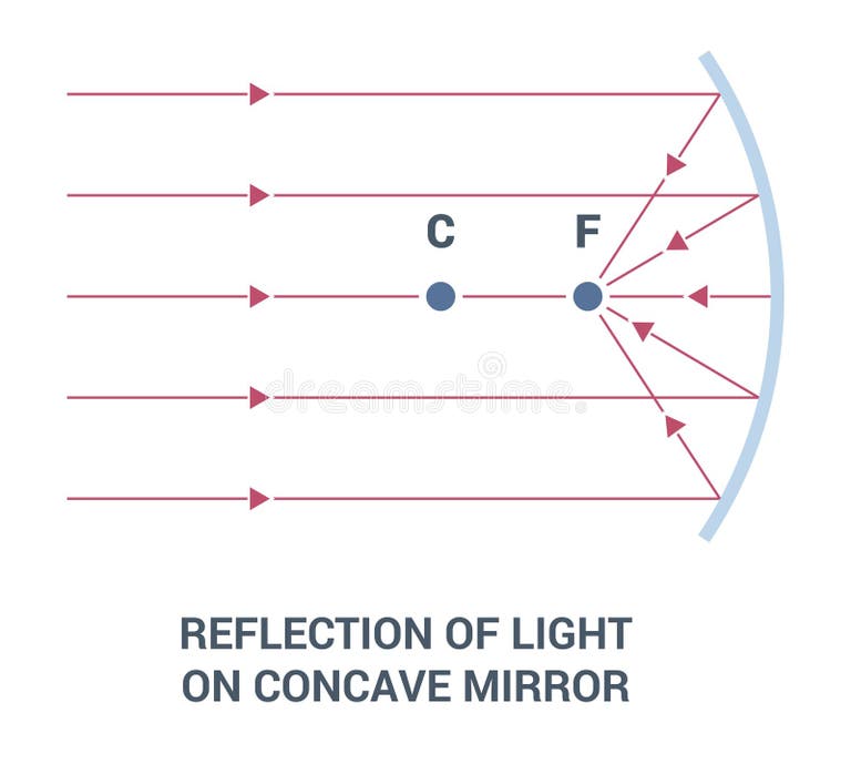 Reflection of Light in a Concave Mirror a Comprehensive Analysis and ...