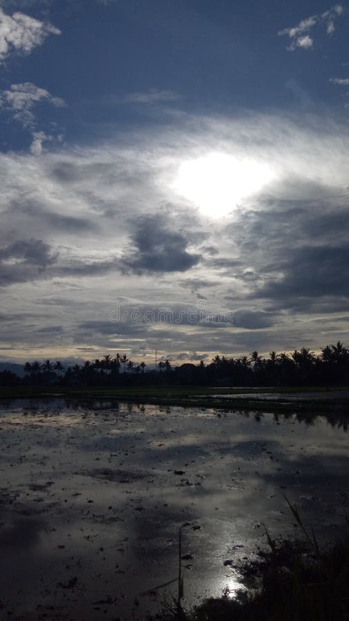 Reflection of Light from the Mud Stock Photo - Image of lake, evening ...
