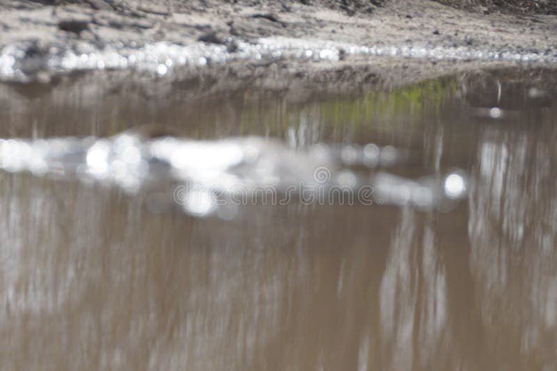 Reflection of Light on the Surface of the Water. Stock Image - Image of ...