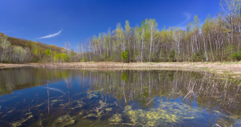 Reflection in the Marsh stock photo. Image of elmo, minnesota - 26281176