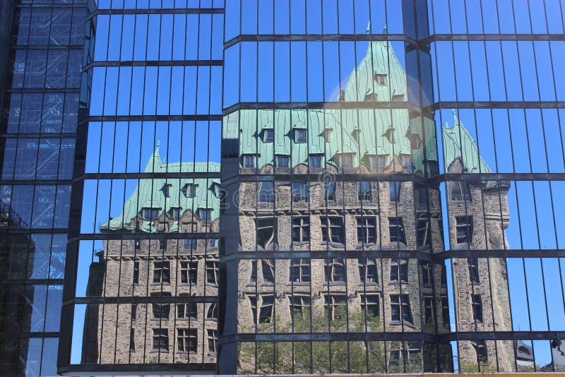 Beautiful Dumpy Frog in Reflection Stock Image - Image of beautiful ...