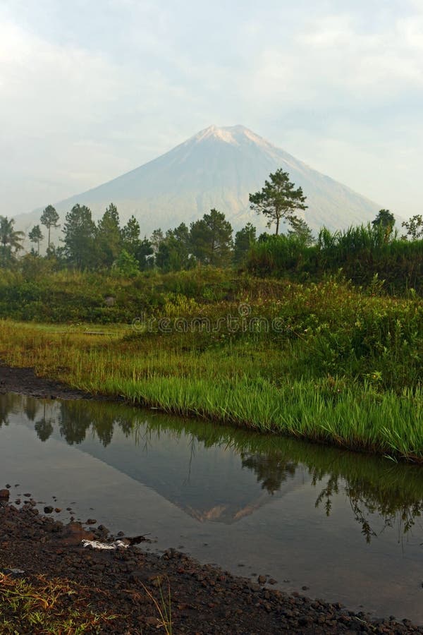 The Reflection of Mount Semeru on a Puddle Stock Photo - Image of ...