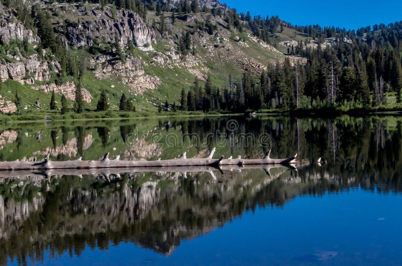 Reflection stock image. Image of reflection, photographs - 80234483