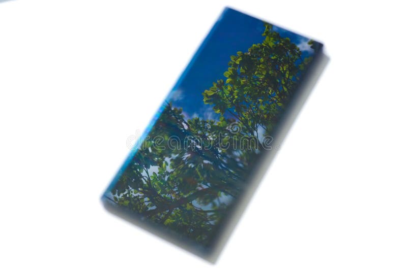 Reflection of Nature in the Flexible Screen of a Smartphone Stock Photo ...