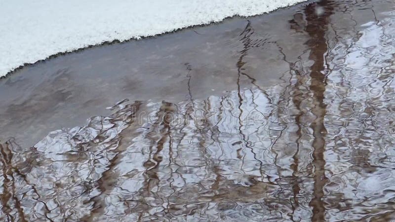 Reflection in a Non-freezing Forest Stream Stock Footage - Video of ...