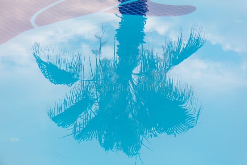 Reflection of a Palm Tree in the Blue Water of the Pool. Stock Image ...