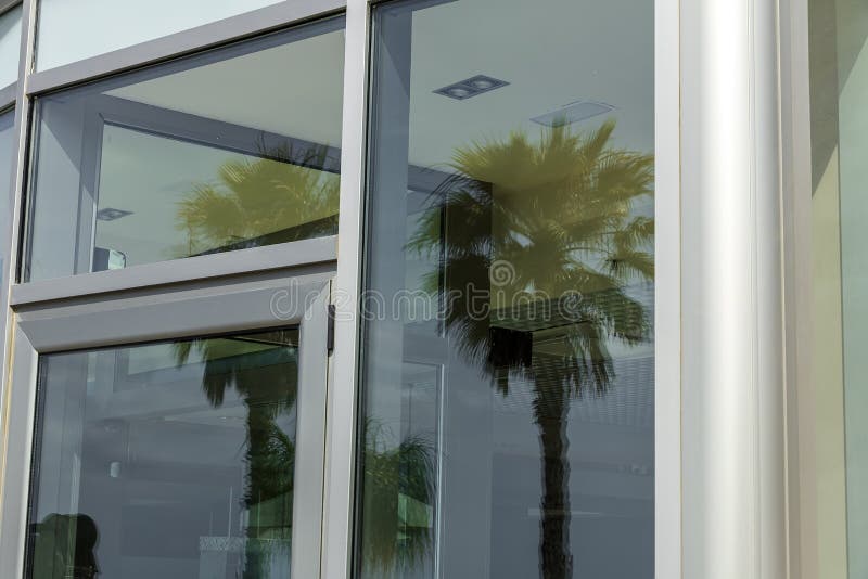 Reflection of Palm Trees in a Glass Door Stock Image - Image of empty ...