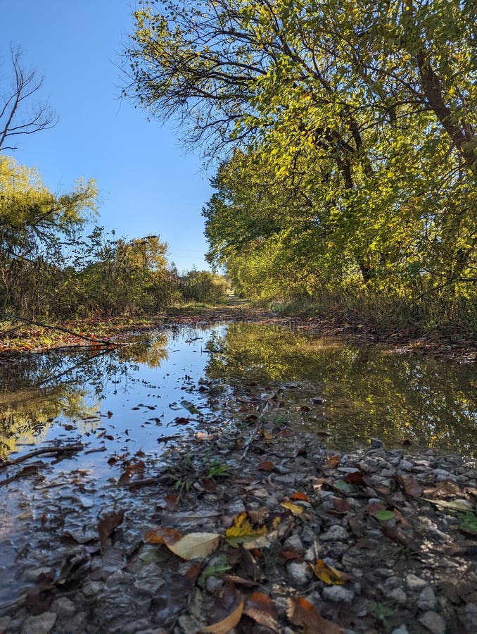Reflection pathway stock image. Image of pond, shot - 261064373