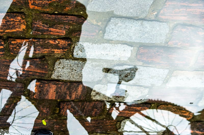 Reflection of Person and Bicycle in a Puddle of Rainwater in the River ...