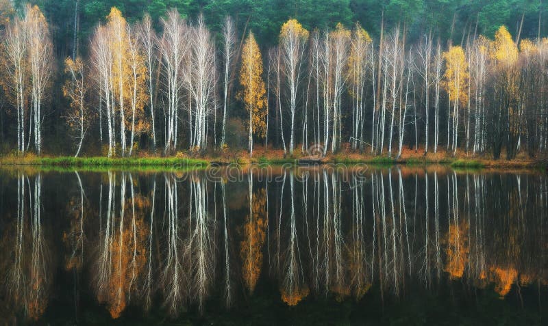 Reflection. Picturesque Reflection of Trees in the River Stock Photo ...