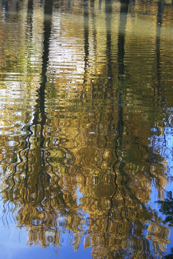 Reflection on the pond #2 stock image. Image of mirror - 1560985