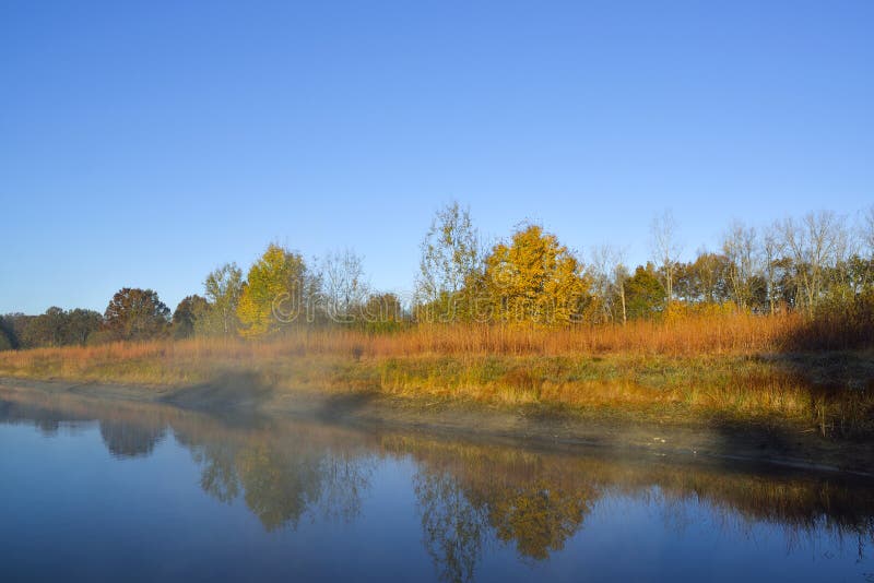 Reflection on pond,autumn. stock photo. Image of tree - 61371004