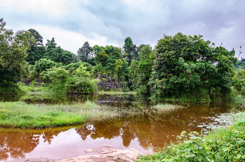 Reflection in a pond stock photo. Image of beauty, mangalore - 272180990