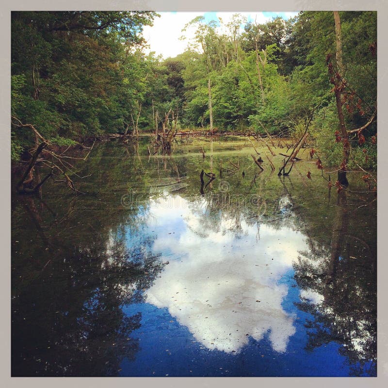 Reflection Pond editorial image. Image of water, lake - 42920225