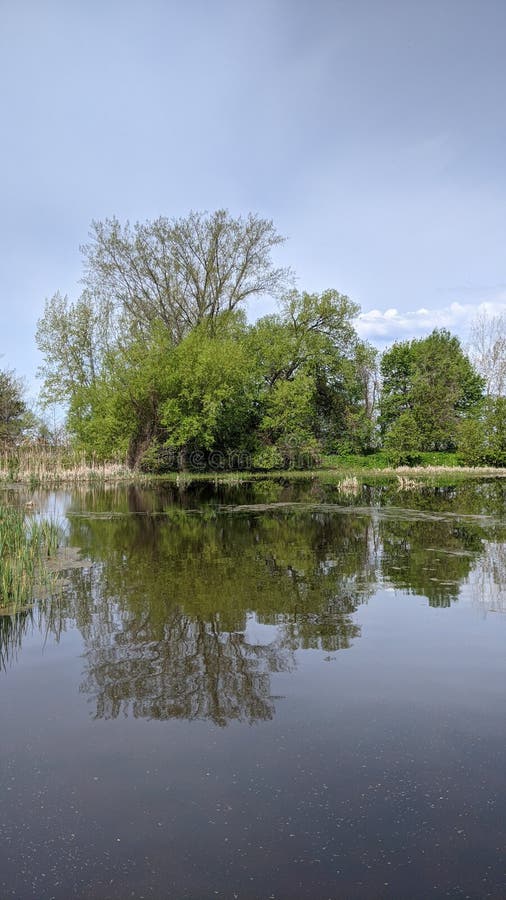 Reflection at the river stock photo. Image of green - 218864126