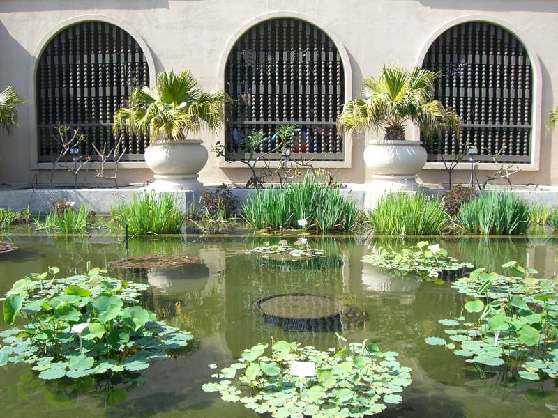 Reflection Pool stock image. Image of scenery, gardens - 726457