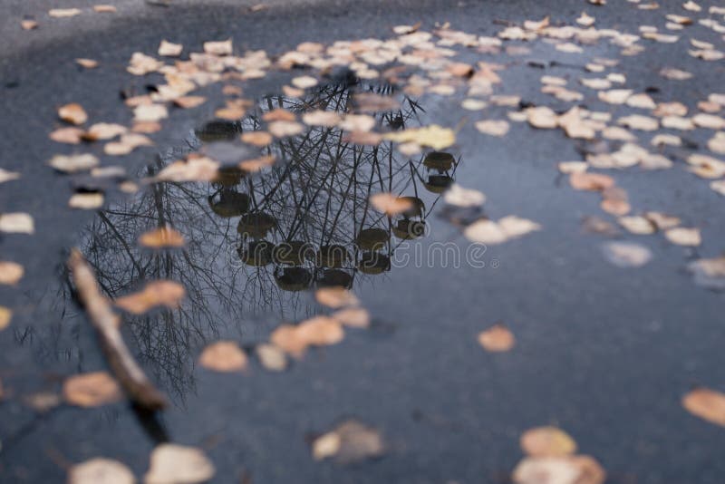 Reflection in a Puddle in the Ferris Wheel in the City, the Ghost of ...