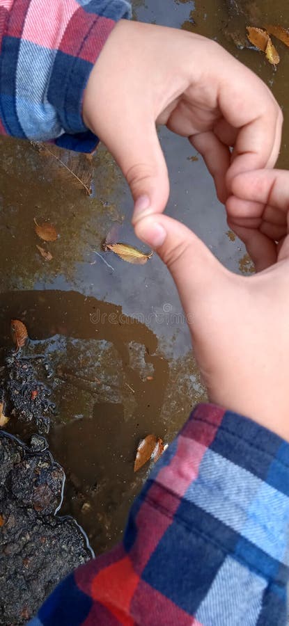 Reflection in a Puddle of Hands in the Shape of a Heart Stock Image ...