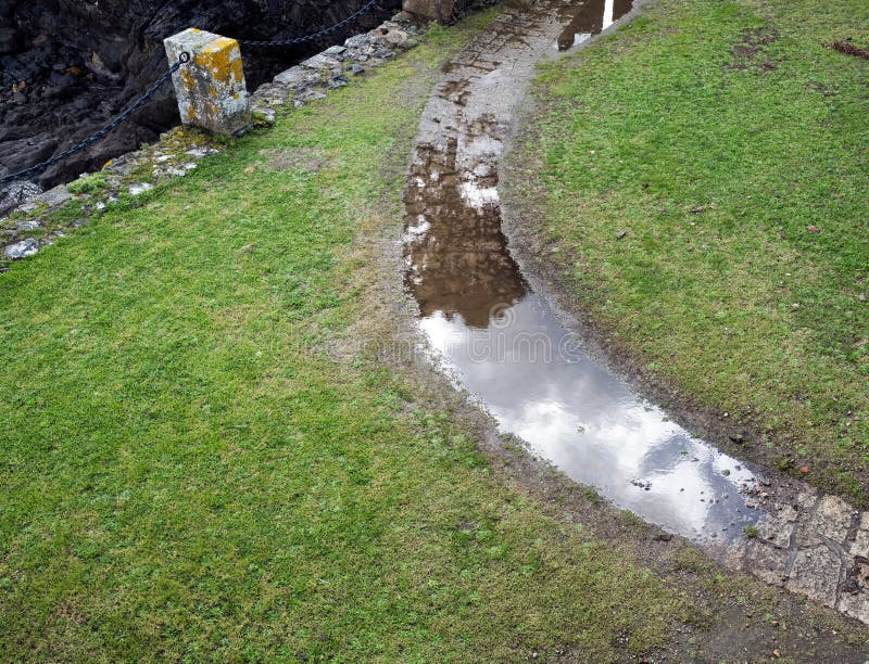 Reflection in a Puddle after a Rainy Day on a Narrow Path Inside Stock ...